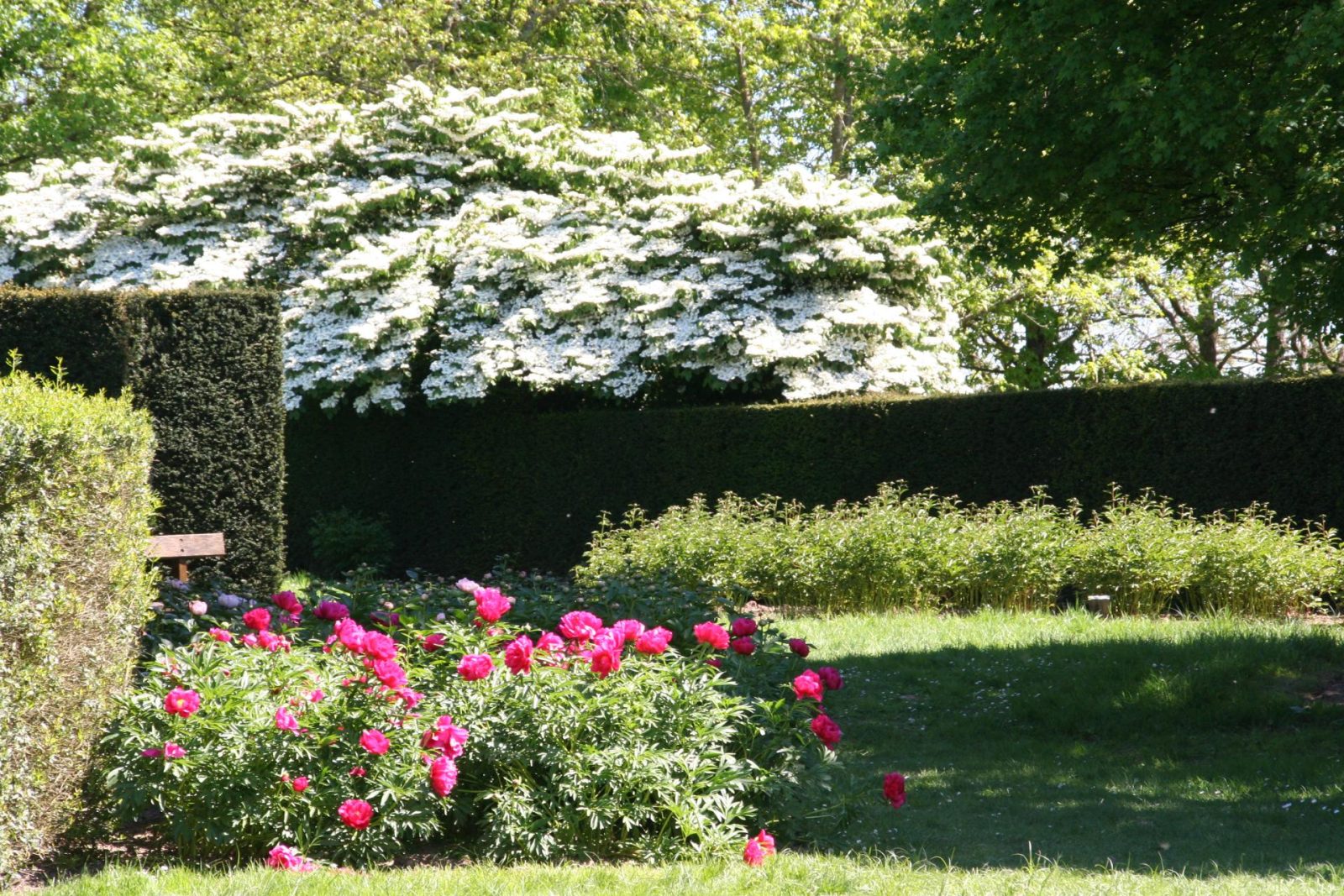 Barails ecological reserve in BORDEAUX - Cultural heritage - Gironde ...